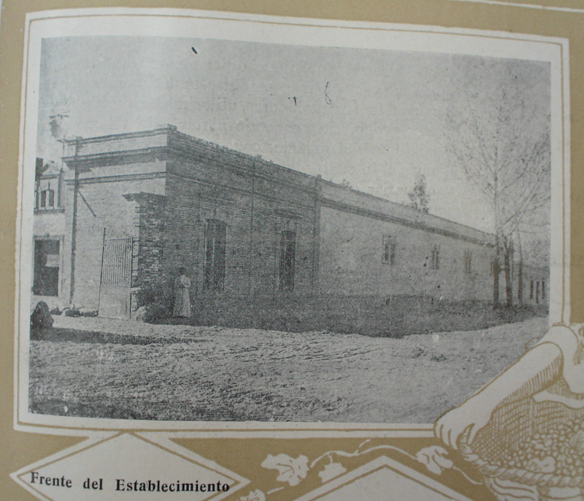 Matriarcado vitivinícola: Annie Jane Fraser de Innes, la viuda que se ...