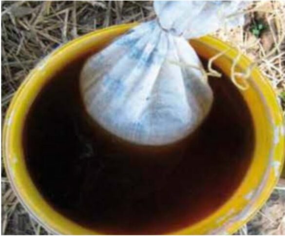 Cómo preparar té de compost para pulverizar en las hojas o regar el ...