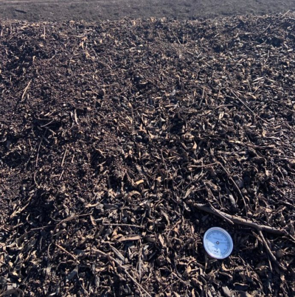 Cómo preparar té de compost para pulverizar en las hojas o regar el ...