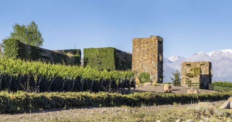 La bodega Huentala Wines ganó el premio al mejor malbec en el concurso ...