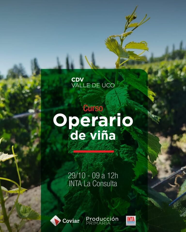 El INTA La Consulta capacitará a operarios de viñas y bodegas en ...